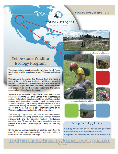 Yellowstone Wildlife Ecology Program | Educational Field Studies